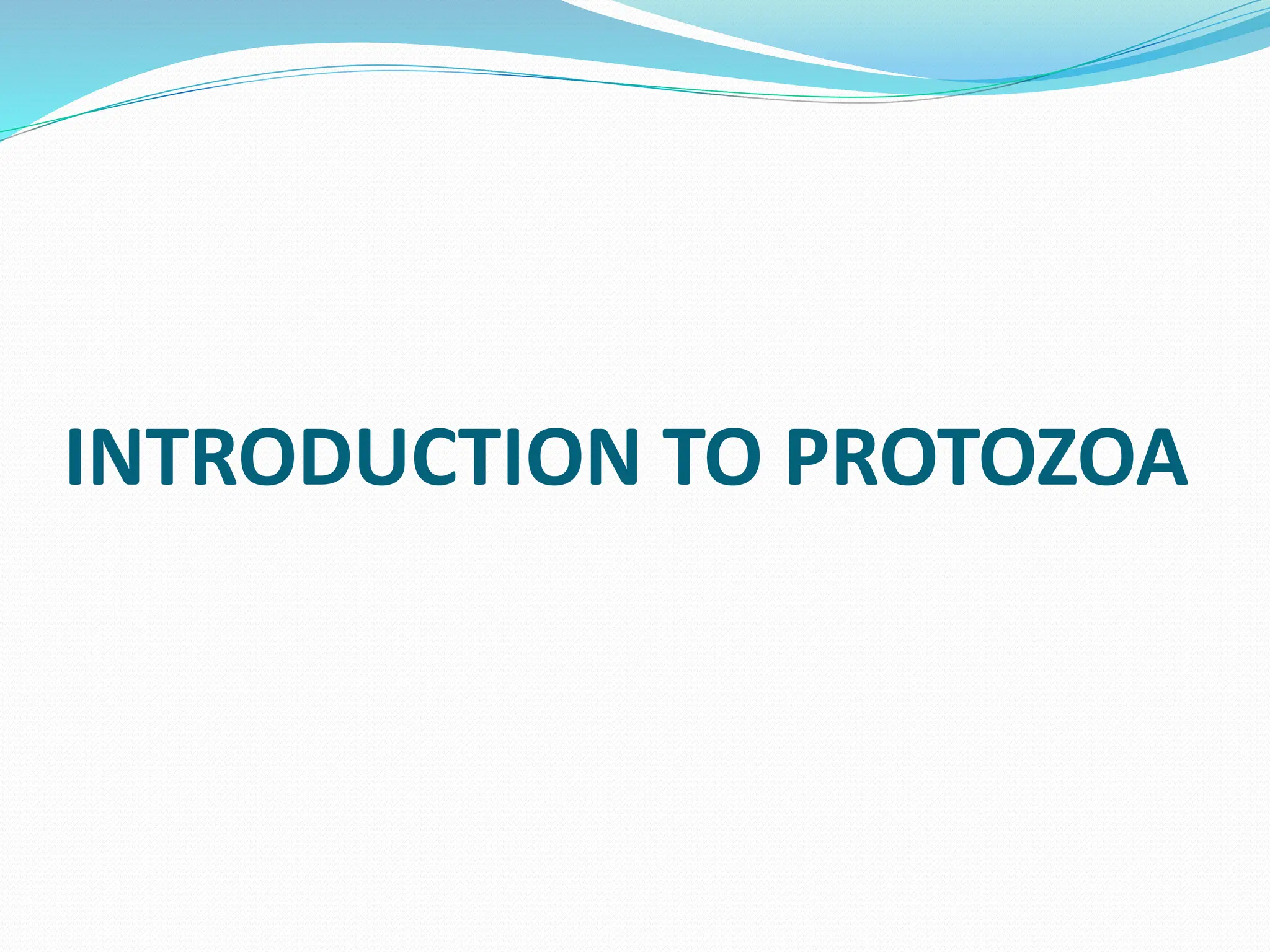 Ppresentation protozoa microbiology.pptx