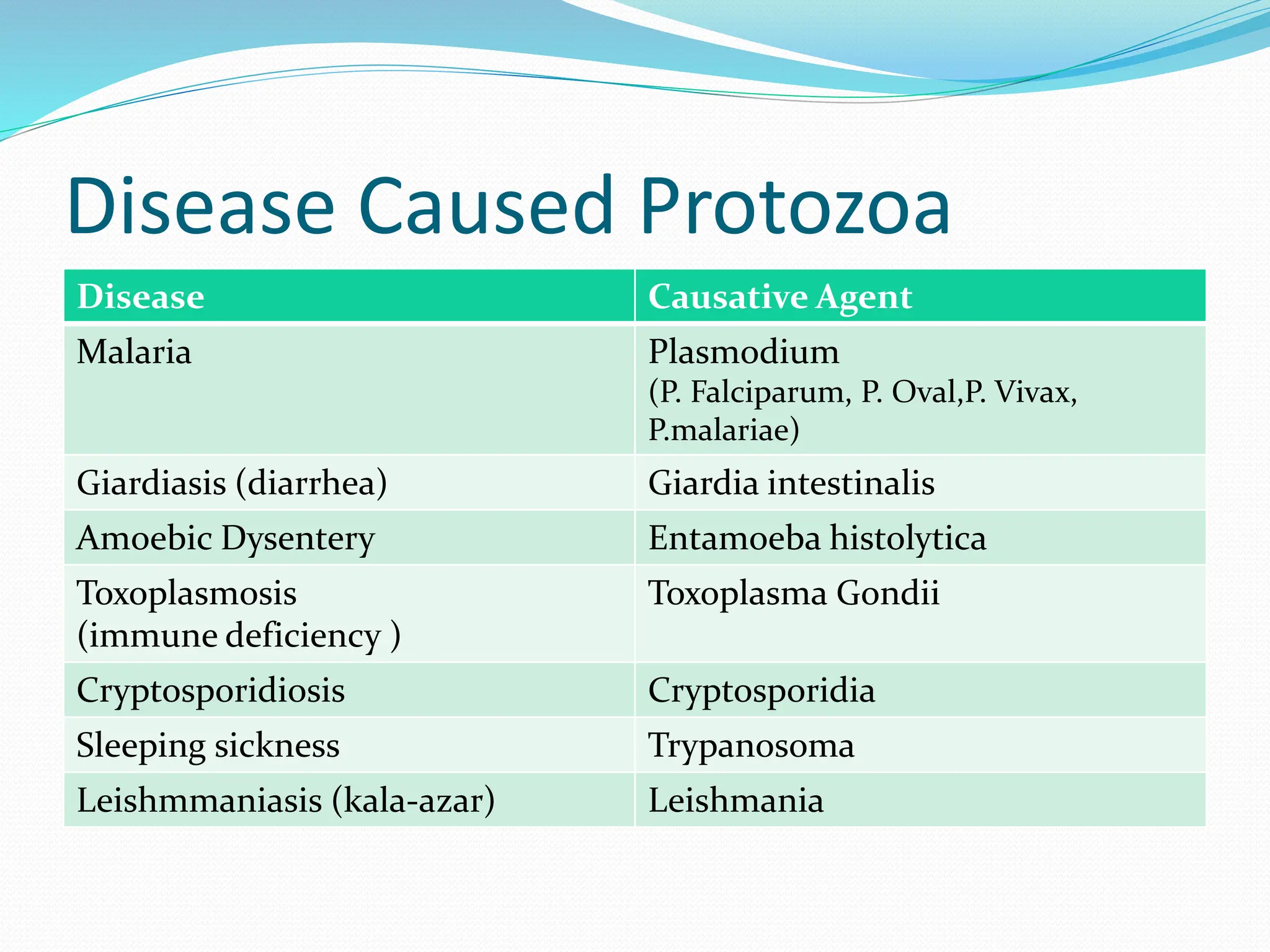 Ppresentation protozoa microbiology.pptx