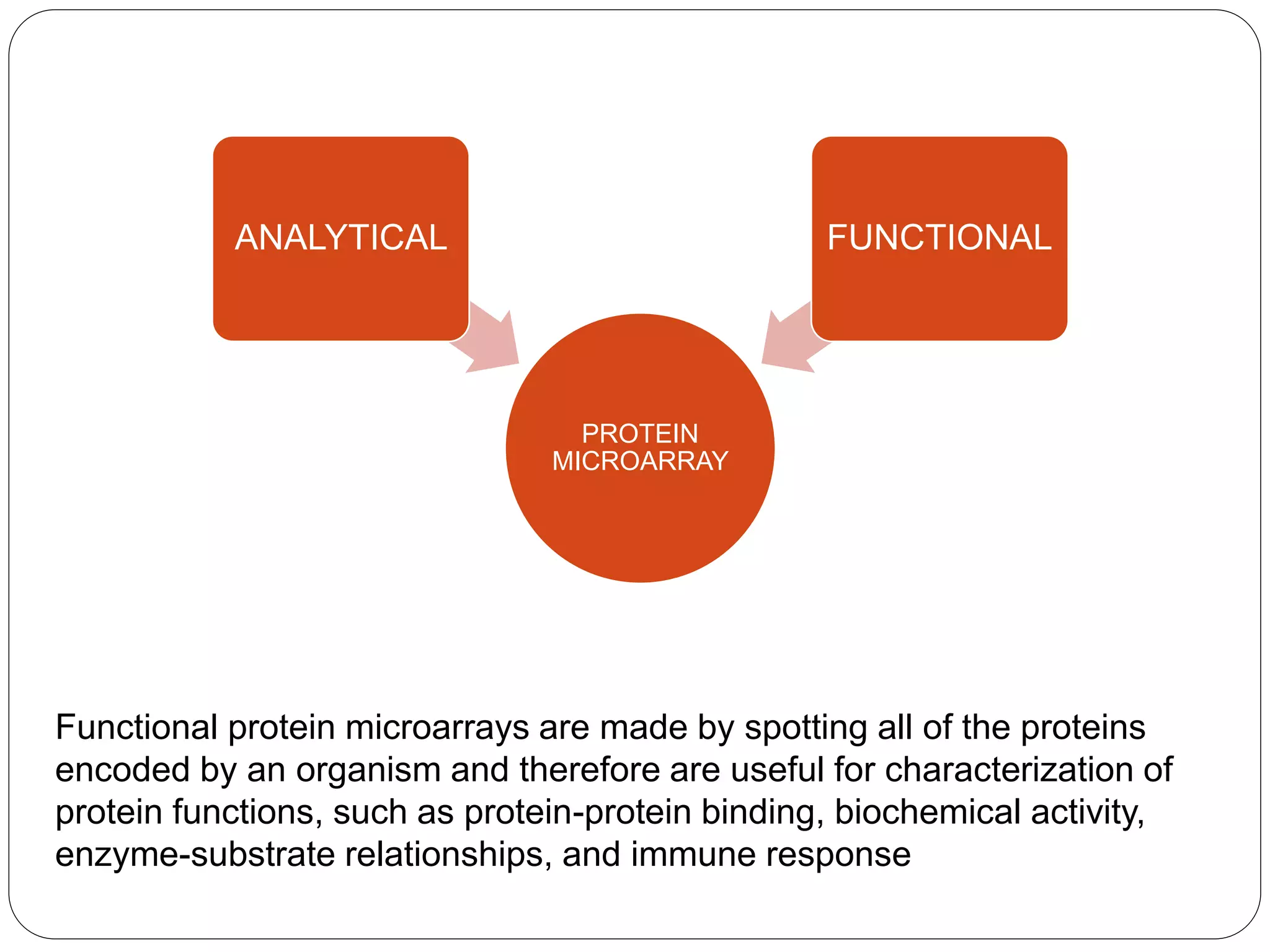 Protein Microarrays Pptx Biotech And Biomedical Industry Industries