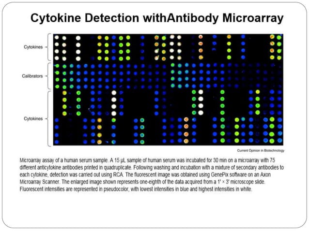 PROTEIN MICROARRAYS | PPT