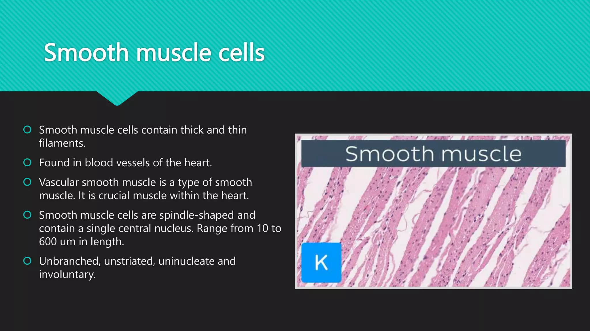 Presentation psp 1.pptx