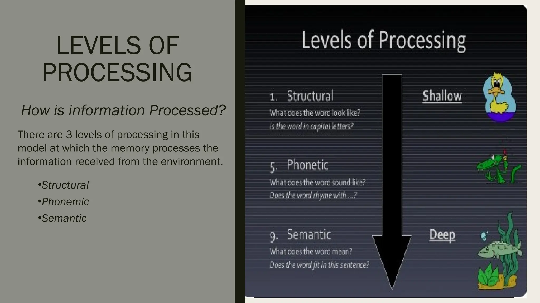 Levels of Processing Modeling in Psychology.pptx