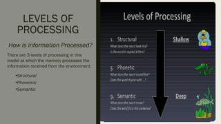 Levels of Processing Modeling in Psychology.pptx