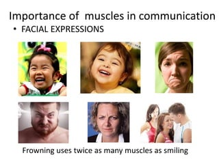 Presentation psychosocial training | PPT