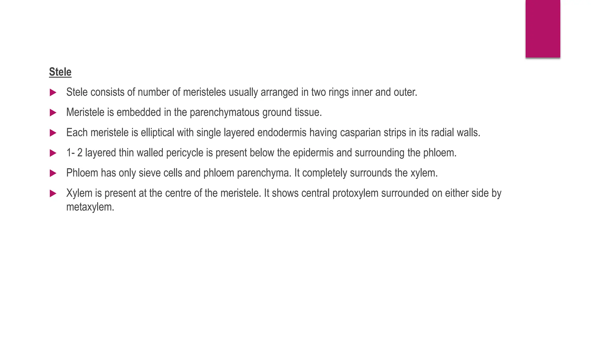 Pteris : features, anatomy, morphology and lifecycle | PPTX