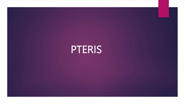 Pteris : features, anatomy, morphology and lifecycle | PPTX | Gardening ...