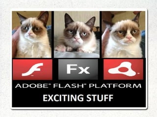 Porting C++ apps to FLASCC | PPT