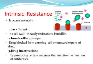 Antibiotic Resistance Puneet Kaur | PPT