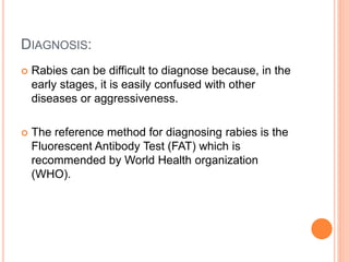 rabies | PPT