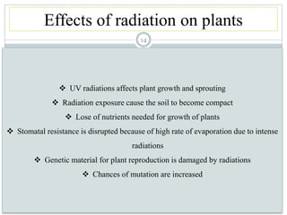 Presentation Radiation Pollution.pptx