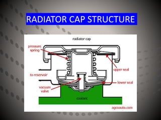 Presentation radiator cap | PPTX