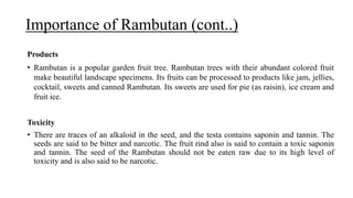 Rambutan | PPTX