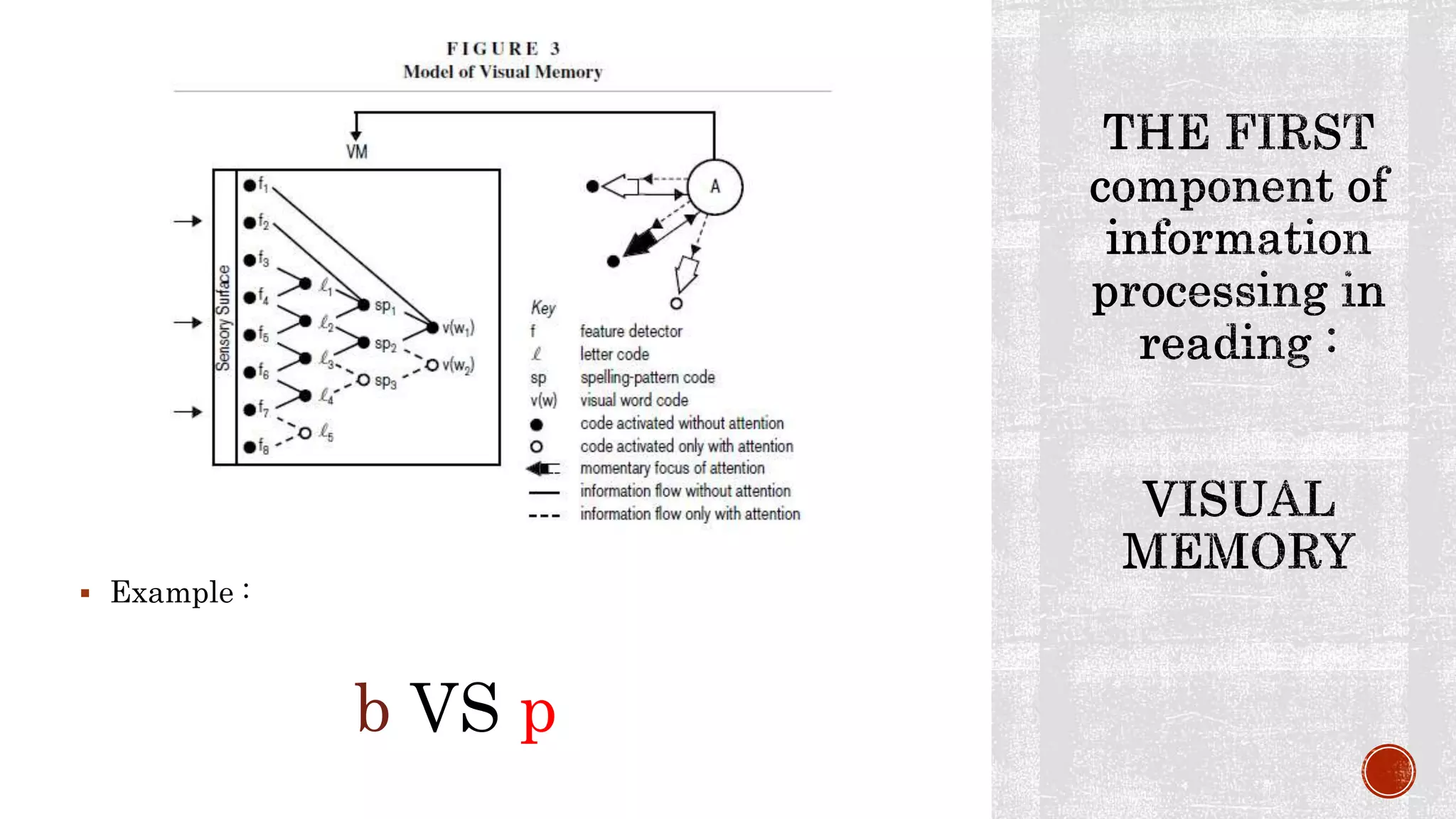 Reading Automaticity by David LaBerge and S Jay Samuels | PPTX