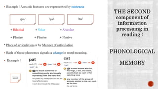 Reading Automaticity by David LaBerge and S Jay Samuels | PPTX