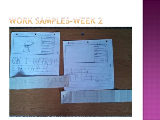 Research Project | PPT