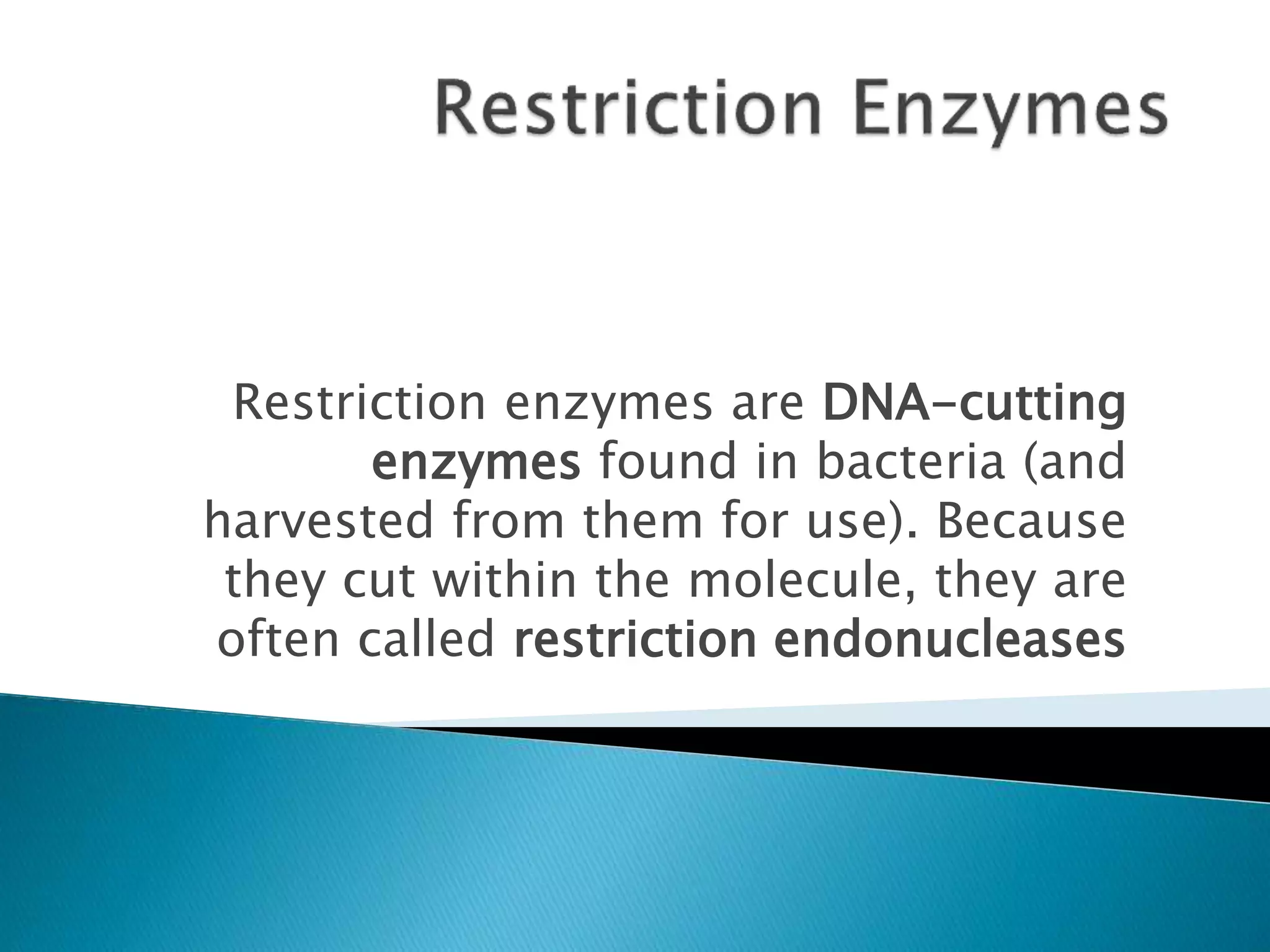 presentation_restriction__enzymes_1479229518_241098.pptx