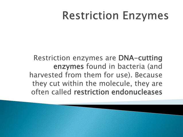 presentation_restriction__enzymes_1479229518_241098.pptx