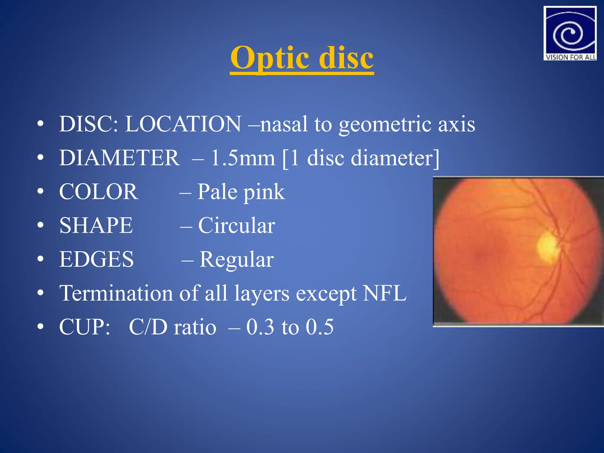 Presentation Retina.pptx