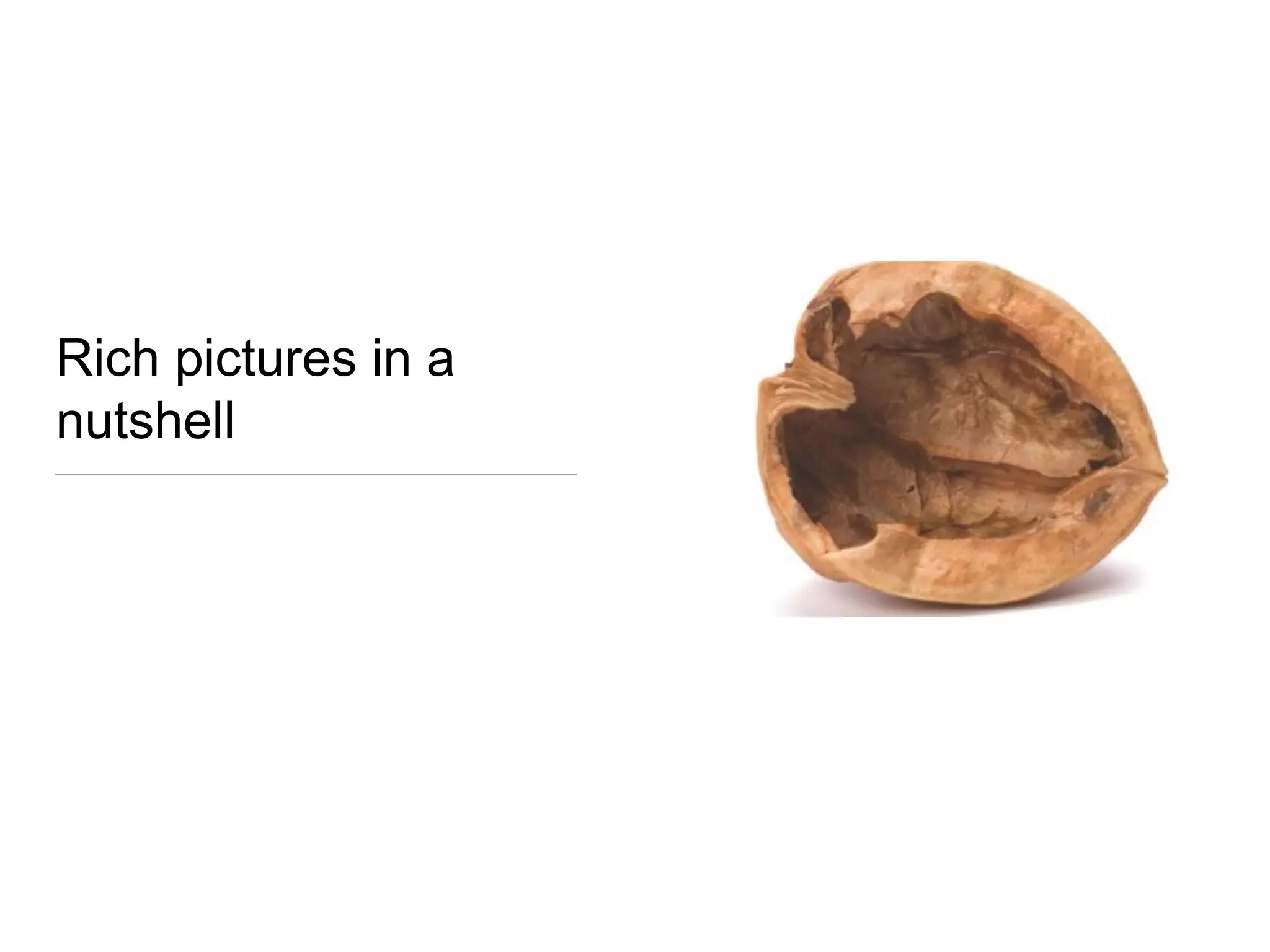 Drawing Rich Pictures as a sense-making tool | PDF