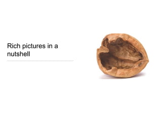 Drawing Rich Pictures as a sense-making tool | PDF