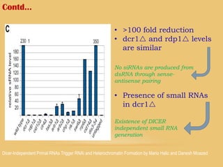Dicer-Independent Primal RNAs Trigger RNAi and Heterochromatin ...
