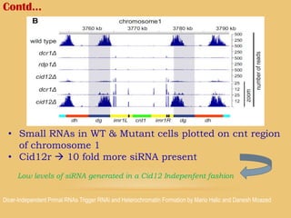 Dicer-Independent Primal RNAs Trigger RNAi and Heterochromatin ...