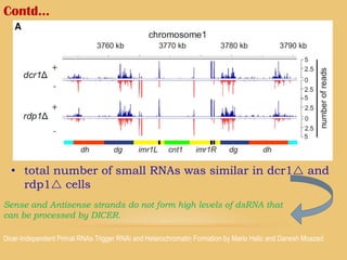Dicer-Independent Primal RNAs Trigger RNAi and Heterochromatin ...