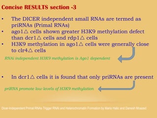 Dicer-Independent Primal RNAs Trigger RNAi and Heterochromatin ...