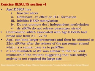 Dicer-Independent Primal RNAs Trigger RNAi and Heterochromatin ...