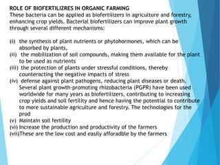 PRESENTATION ROLE OF BIOFERTILIZRES.pptx