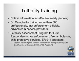 Buncombe County Domestic Violence Comprehensive Plan | PDF | Crime ...