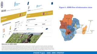 Presentation sadc aims_strategy_nzingoula_gildas | PPTX