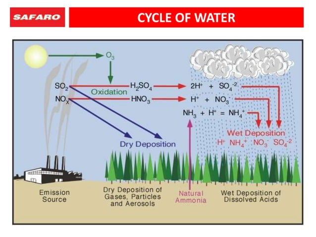 Presentation SAFARO PURE WATER | PPT
