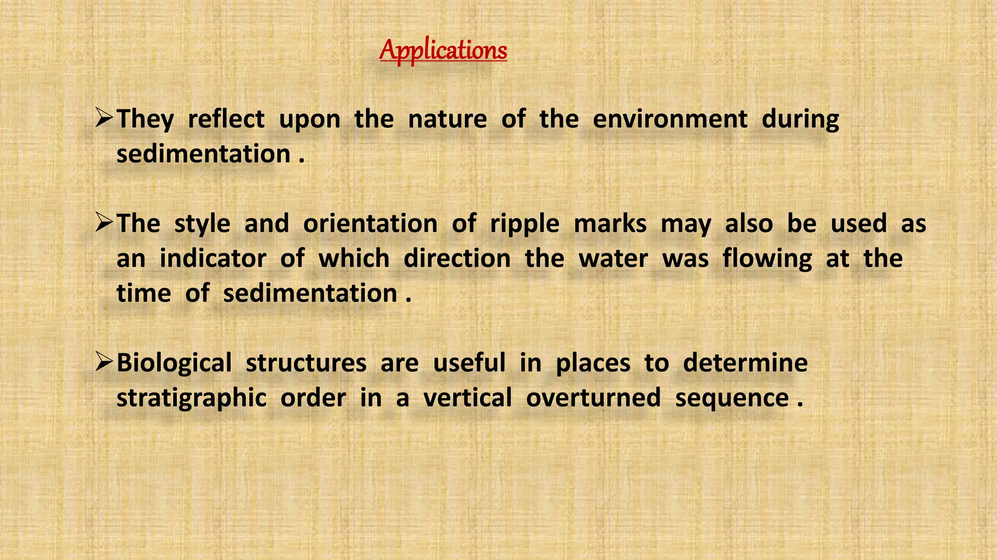 Presentation on sedimentary structures .pptx