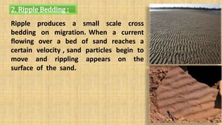 Presentation on sedimentary structures .pptx