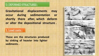 Presentation on sedimentary structures .pptx