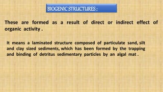 Presentation on sedimentary structures .pptx