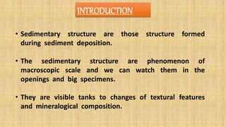 Presentation on sedimentary structures .pptx