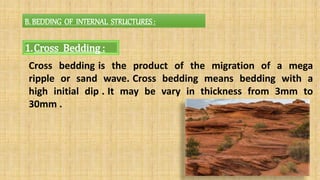 Presentation on sedimentary structures .pptx