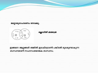 Presentation sandhya | PPTX