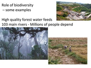 Biodiversity and Climate Change: Avenues for Adaptation | PPT