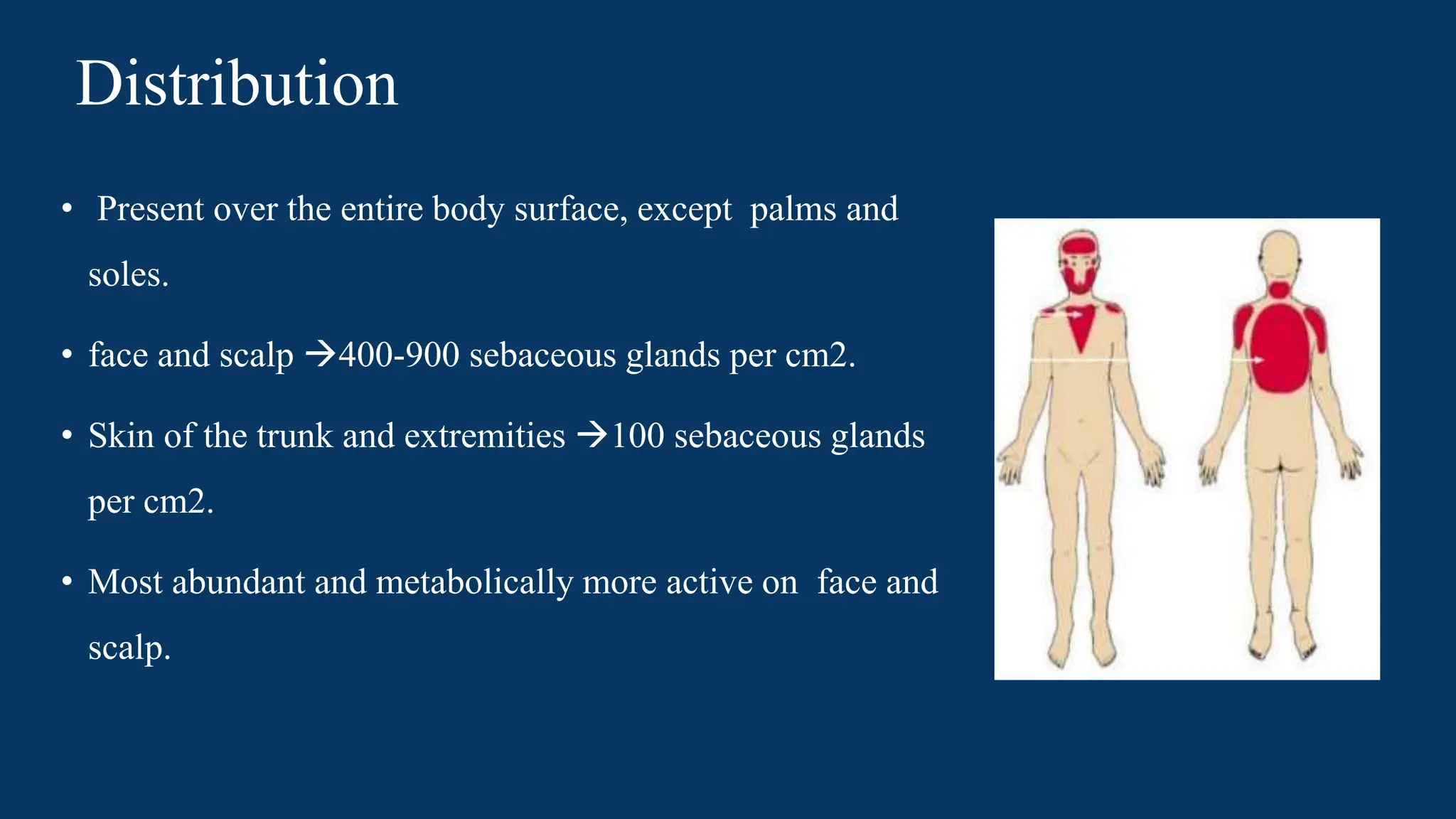 Anatomy and physiology of sebaceous glands.pptx