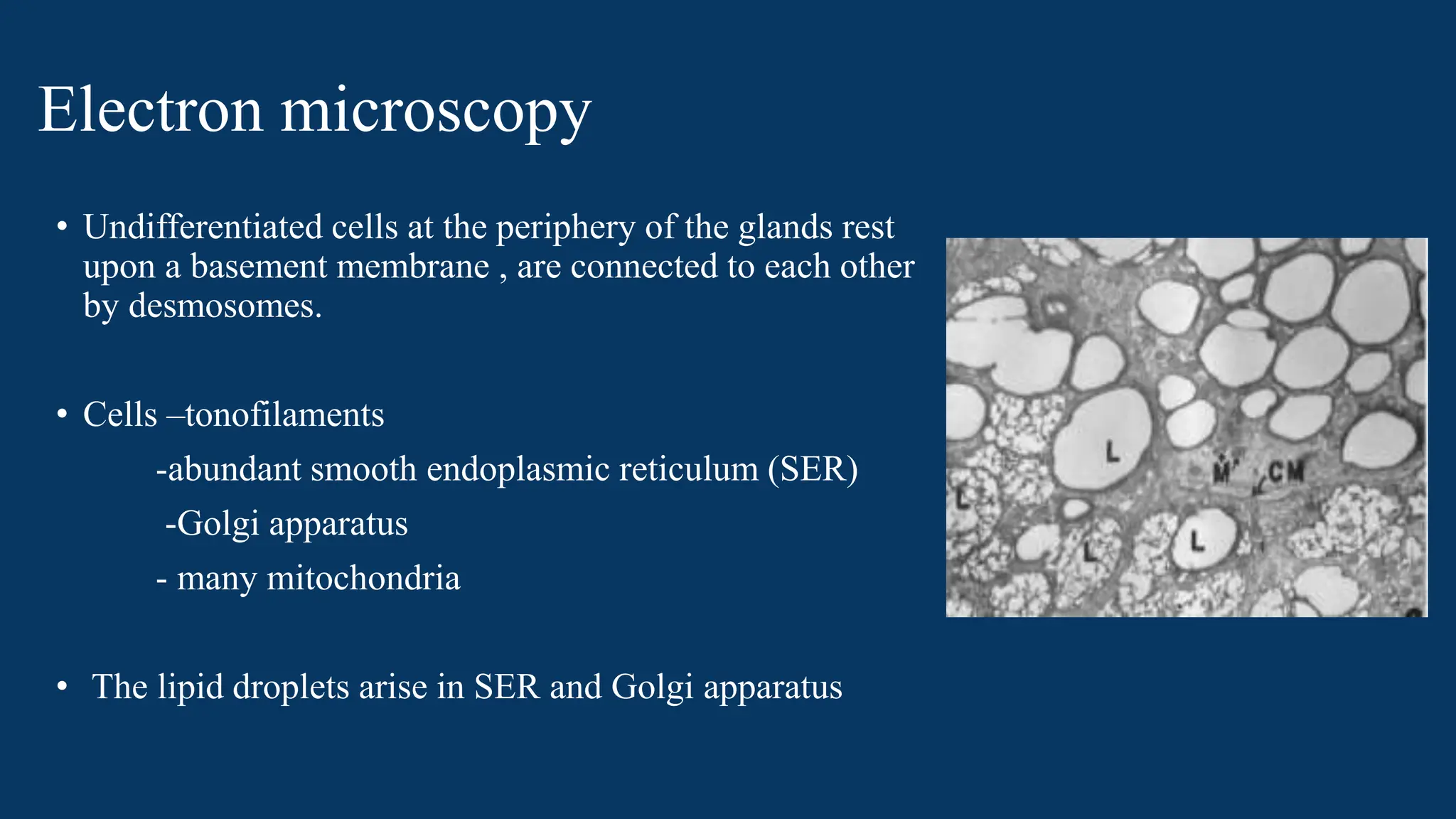 Anatomy and physiology of sebaceous glands.pptx