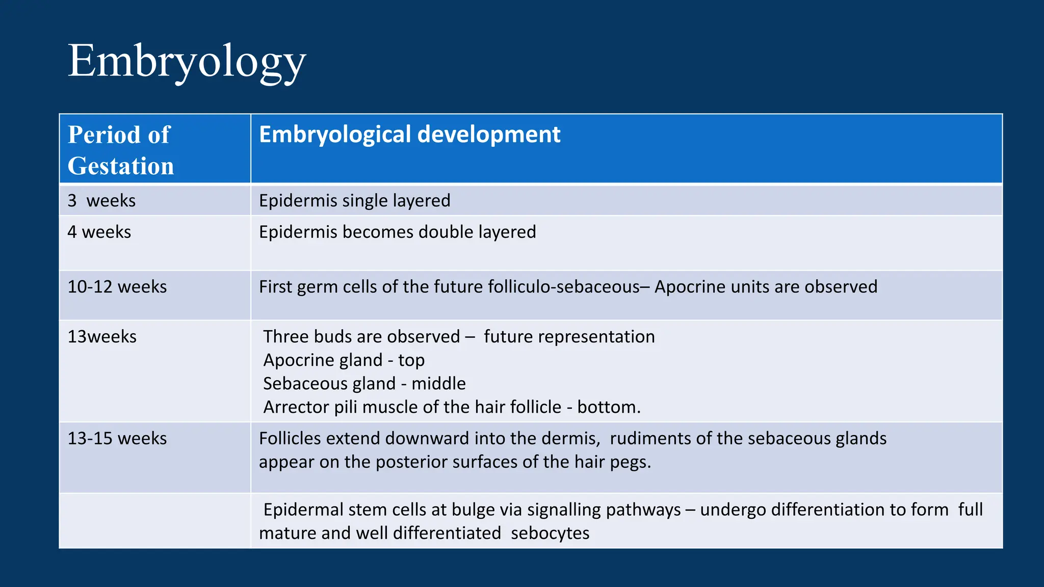 Anatomy and physiology of sebaceous glands.pptx