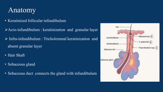 Anatomy and physiology of sebaceous glands.pptx | Genetics | Science