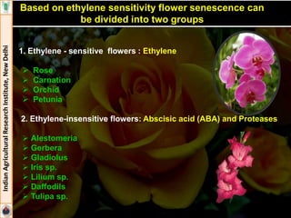 recent advances in flower senescence | PPTX