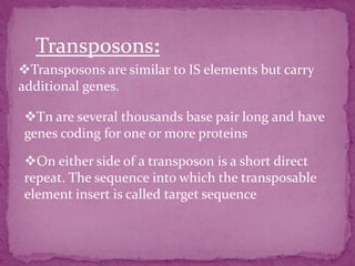 TRANSPOSABLE ELEMENTS | PPTX