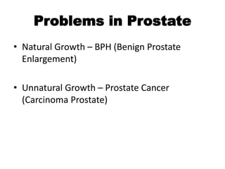 Non medical Management of Prostate - Visual | PPT
