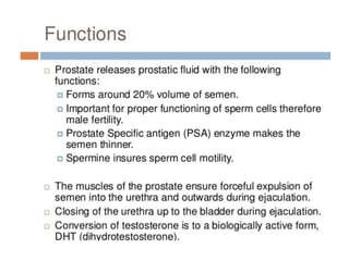Non medical Management of Prostate - Visual | PPT