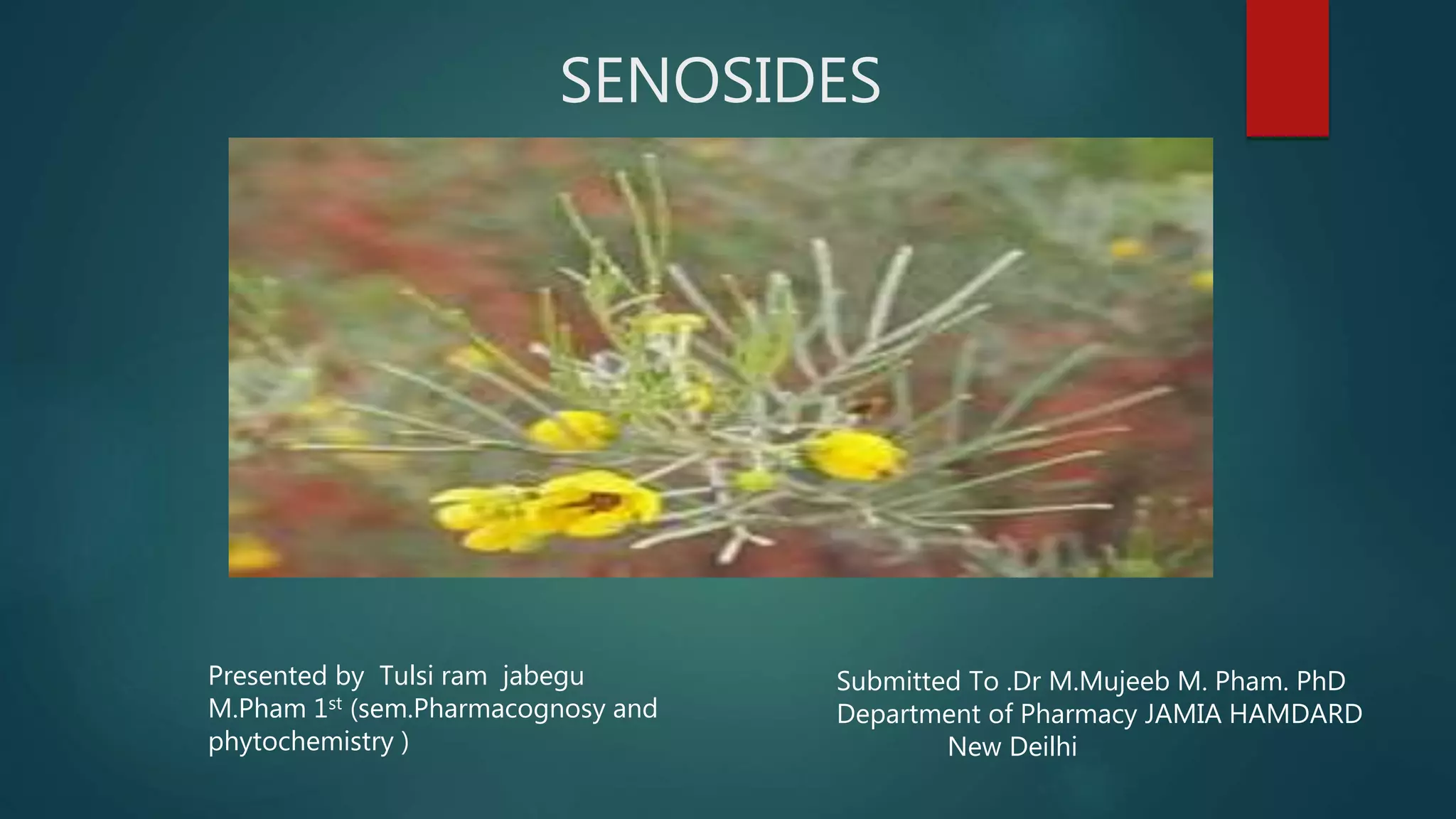 Presentation senna | PPTX